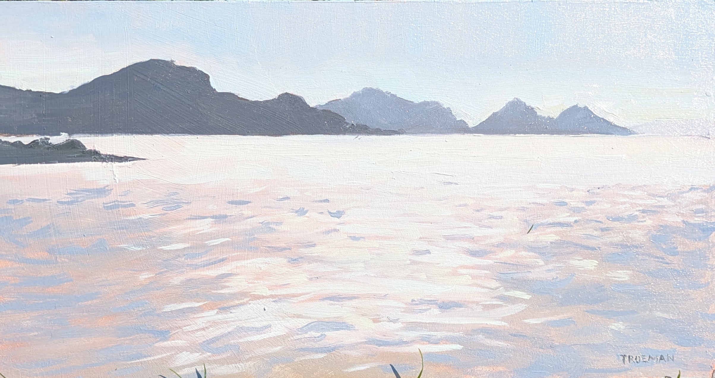 lauratrueman.ie – Laura Trueman Art